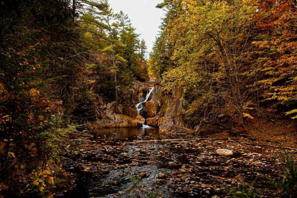 Smalls Falls Rest Area | Rangeley Lakes Heritage Trust